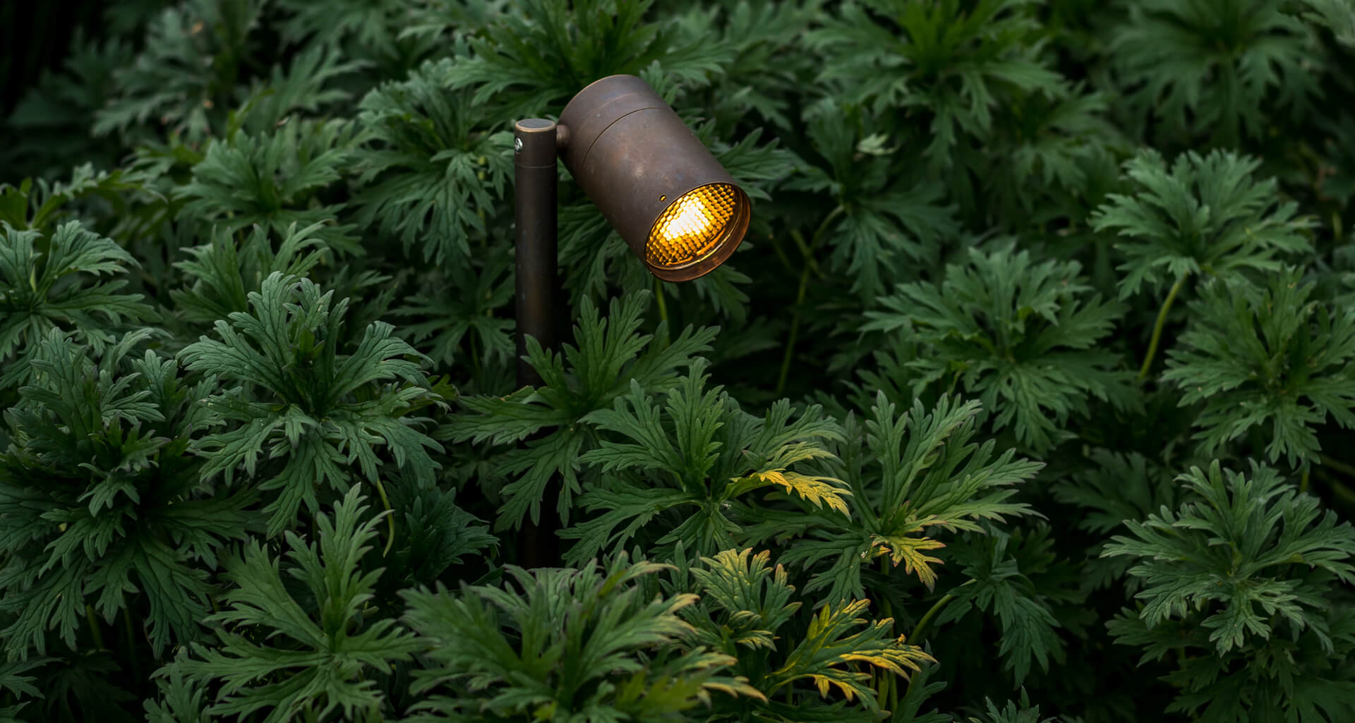 Home - Integra Lighting